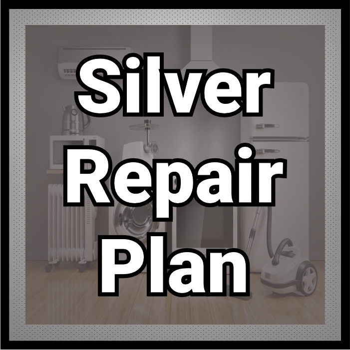 Silver Repair Plan – COMPREHENSIVE